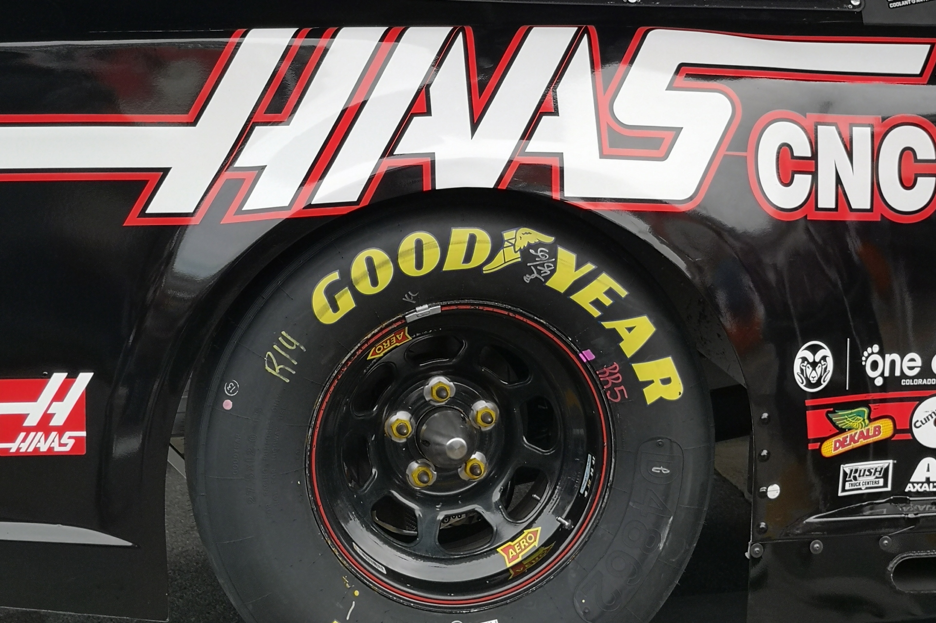 smokey mountians road trip - day 5 - Ollyman - International Photography